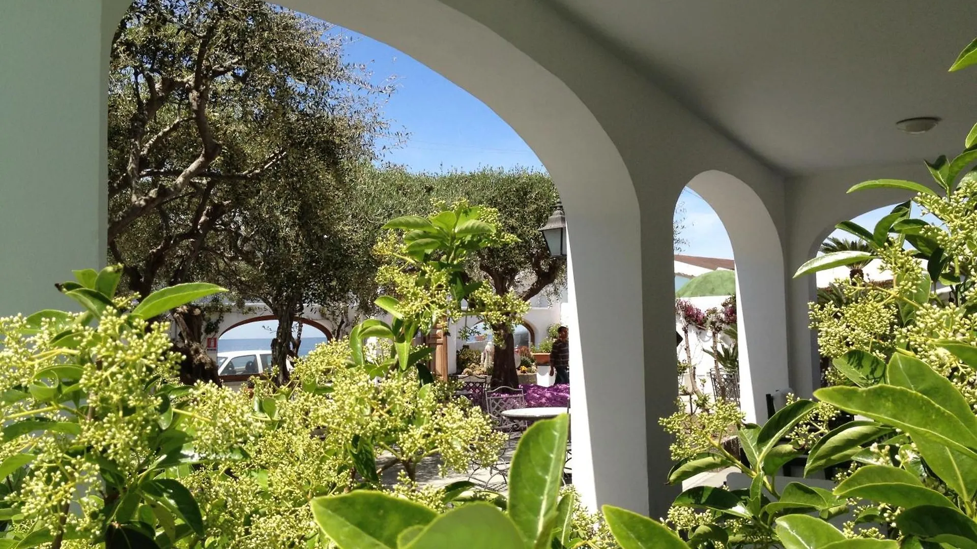 21 Best Ischia Island Hotels near Archaeological Museum of Pithecusae ...